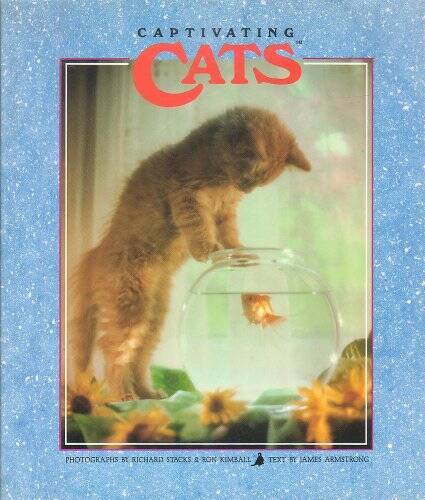 Captivating Cats - Paperback By Armstrong, James - GOOD 9781559121507 ...