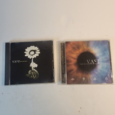 2 Vast Cds -Visual Audio Sensory Theater 1998 and Music for People 2000 ...