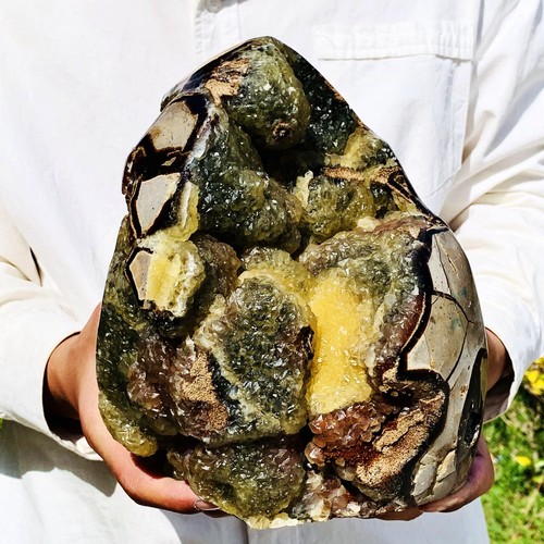 14.16LB Natural Turtle Back Stone Dragon Crystal Cave Crack Gem Healing ...