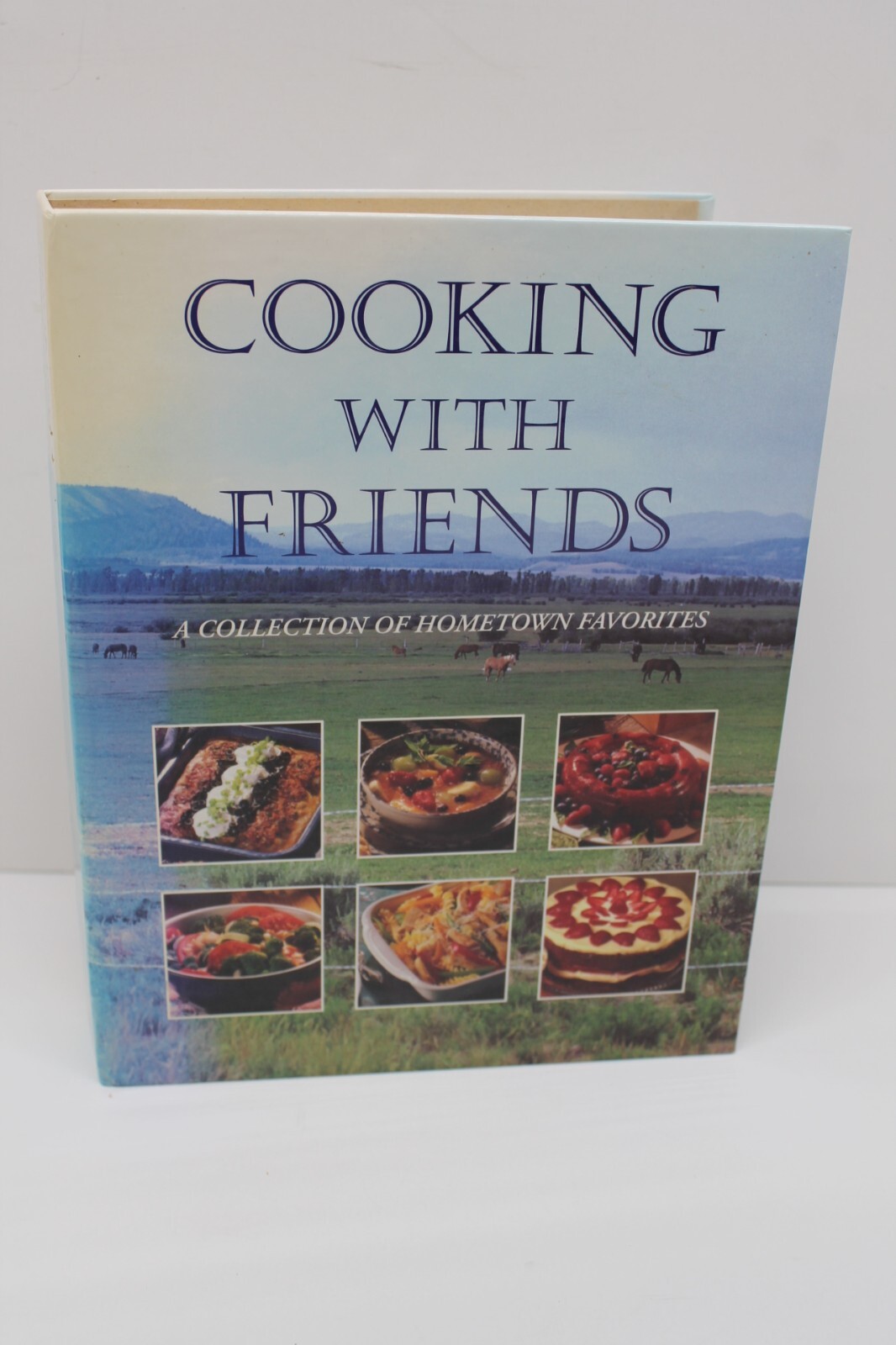 Assorted Interesting & Unusual Cookbooks Fundraiser - You Choose ...