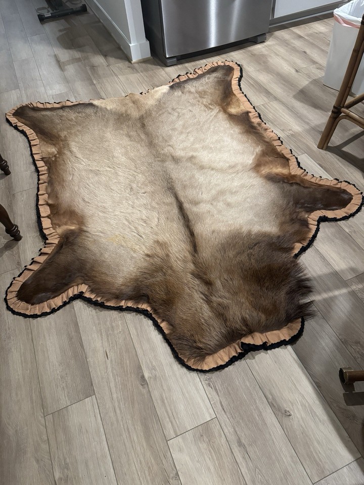 Rare Extra Large Elk Hide Rug / Wall Decor -Around 84x70 inches | eBay