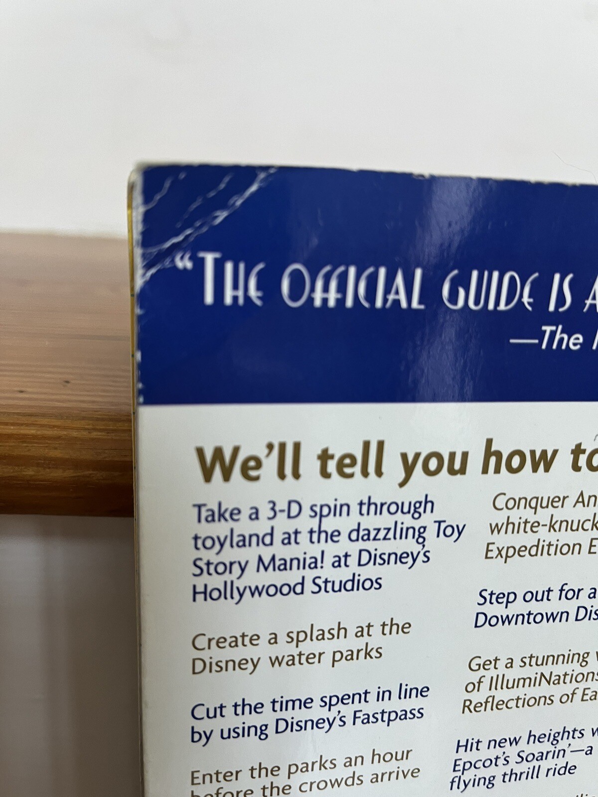 Birnbaum's Walt Disney World 2010 Paperback Theme park Guides Old ...