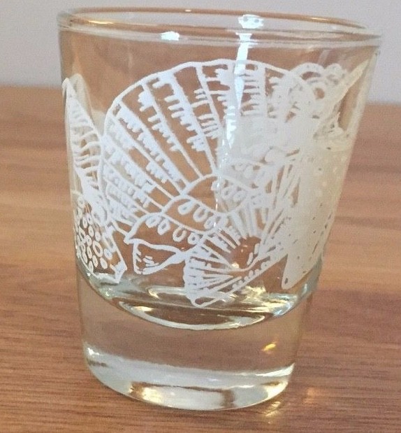 SEASHELLS shot glass | eBay