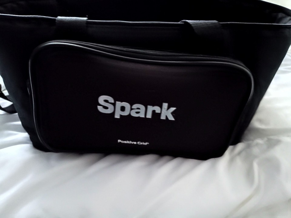 Positive Grid Spark with Gig Bag | eBay UK