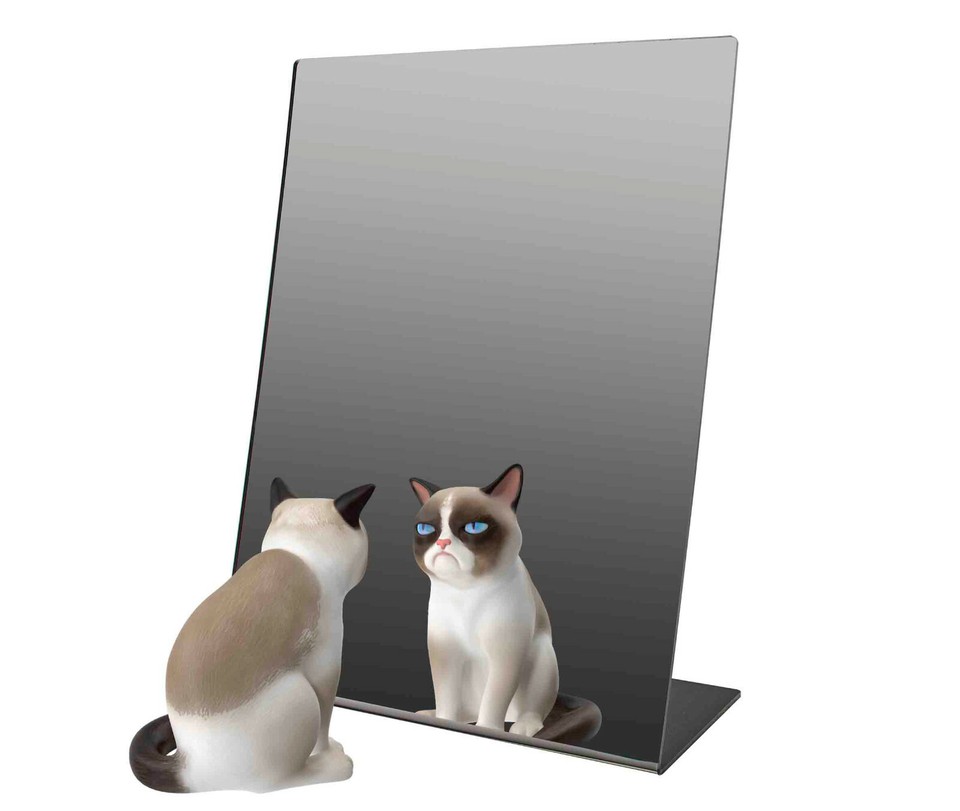 Mirror Free Standing Single Sided Self-Portrait - 8 1/2 x 11 inches Qty ...