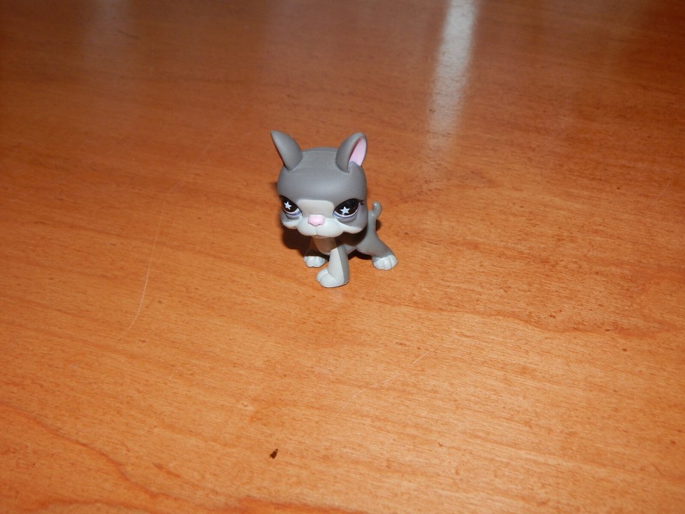 LPS #958 Gray Boston Terrier Pup Purple Star Eyes 2004 Hasbro | eBay