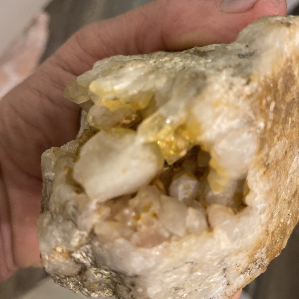 SUPER RARE Native American Saber tooth Stone Effigy Rock Paleo Era | eBay