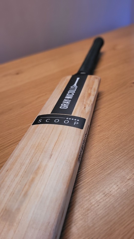 Grey Nicolls Scoop GN 100 Cricket Bat | eBay UK