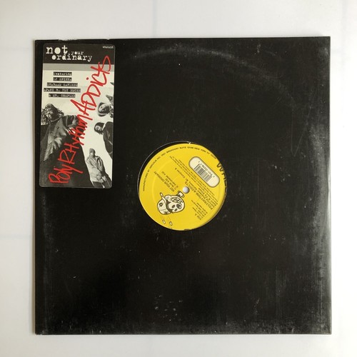 1999 Polyrhythm Addicts Not Your Ordinary WR 20298 A Vinyl Record 12 ...