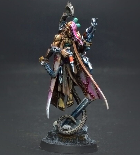 Haemonculus Drukhari dark eldar ** COMMISSION ** painting | eBay UK
