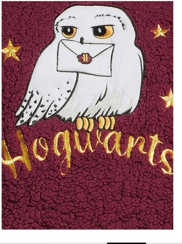 MEDIUM _Harry Potter Women's and Women's Plus License Pajamas 2 Piece ...