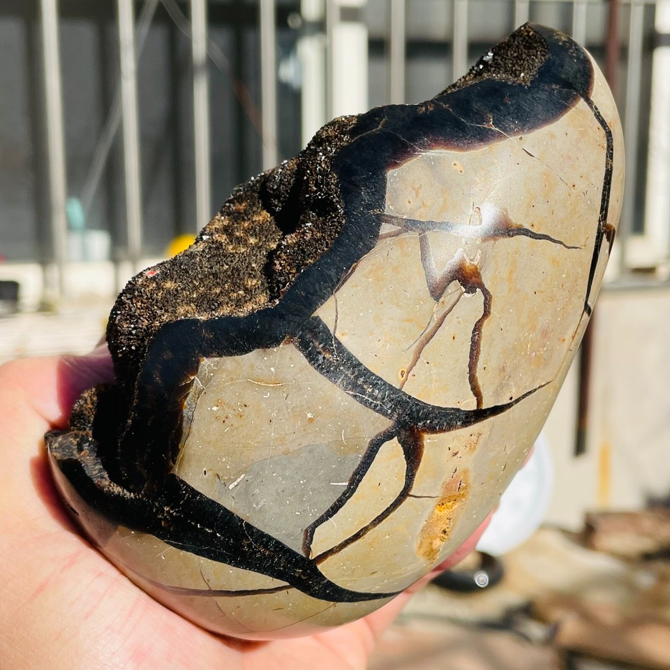 1174g Large Natural Dragon Septarian Septarium Crystal Egg Geodes ...