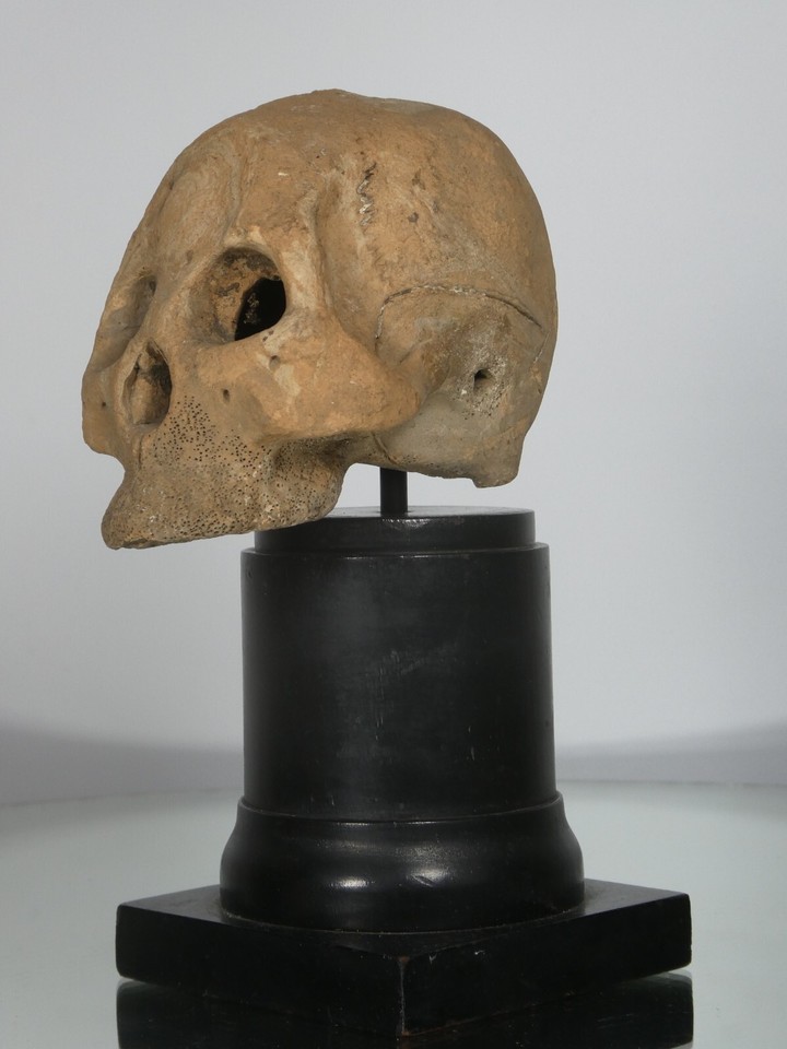 Antique Vintage Macabre Clay Human Skull Model Sculpture Memento Mori ...