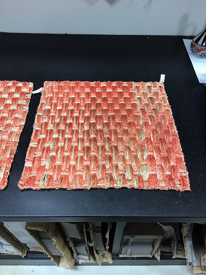 Deborah Rhodes Sala Sala Coral Square Placemat Set of 2 NEW | eBay