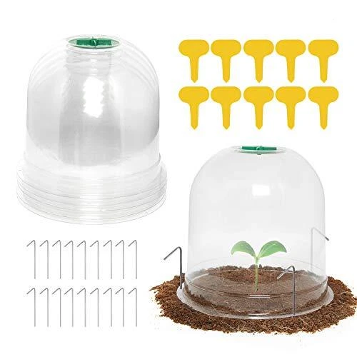 Large Plastic Garden Cloches | Fasci Garden