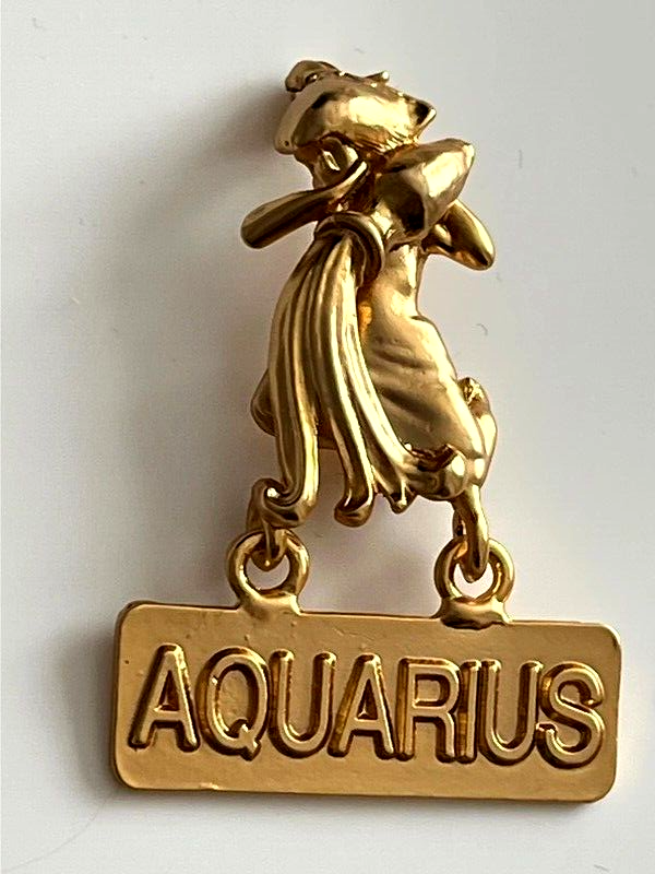 Broche Verseau Horoscope Etoile Chanon Paris Neuf emballé H=5,5cm | eBay