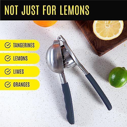 Stainless Steel Lemon Squeezer Press - No Seeds, Pro-Grade ...