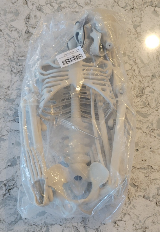 New 36" Skeleton Halloween Decorations 3ft Life Size Human Skeleton | eBay