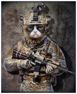 Tactical Cat Operator Sticker Decal (Select your Size) | eBay