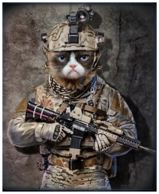 Tactical Cat Operator Sticker Decal (Select your Size) | eBay