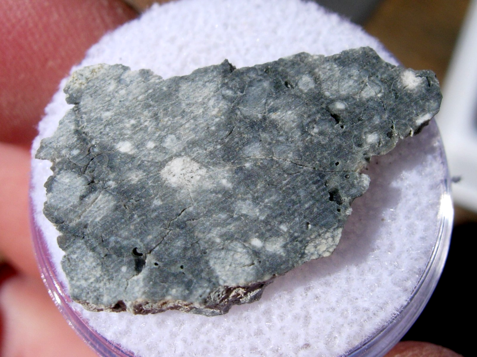 1.80 grams 25x14x2mm Gadamis 004 Lunar Meteorite slice in a gem case ...