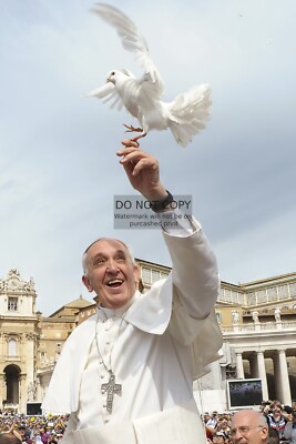 POPE FRANCIS WHITE PIGEON FLYING FROM HIS HAND 4X6 CATHOLIC PHOTO ...