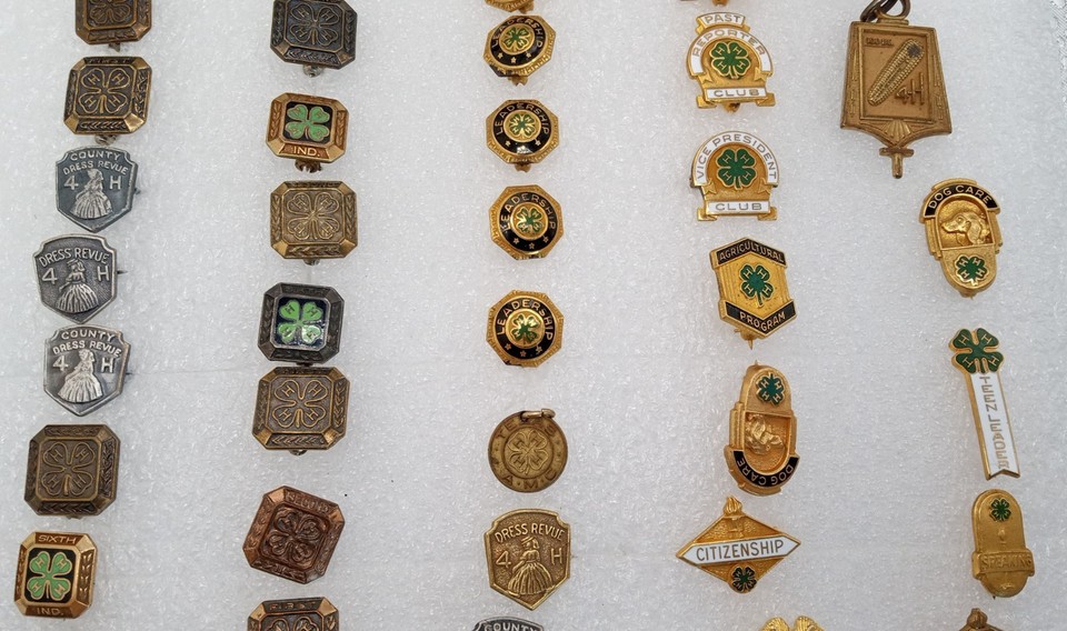 4-H Club Pins (Variety) (Achievement) (NO GOLD) (Lot 34) | eBay