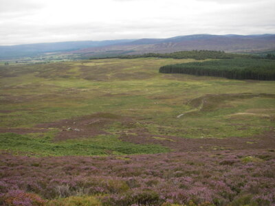 Photo 6x4 View across marshy ground to forest plantation Strone/NH7100 ...