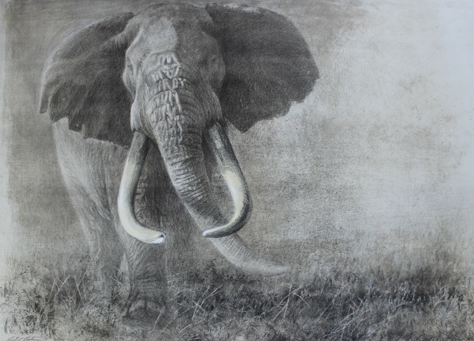 Robert Bateman Hand Signed Numbered Original Lithograph Homage To Ahmed ...