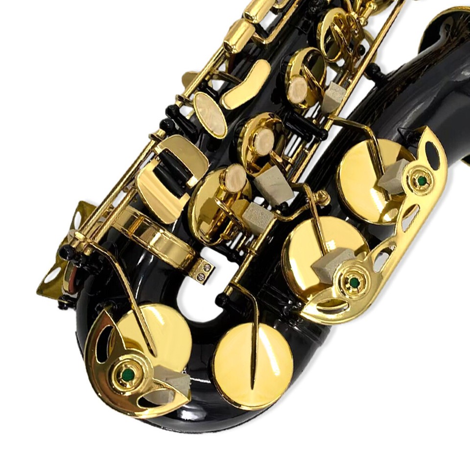 Saxophone Kit Black-Gold Eb Flat Alto Saxophone with Carry Case ...