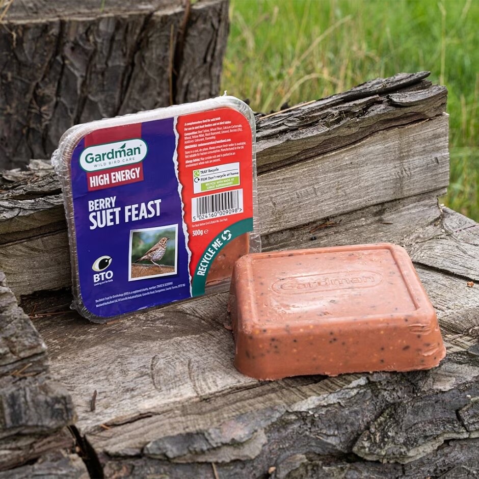GARDMAN SUET FEAST BLOCKS WILD BIRD FOOD FOR ALL YEAR ROUND FEEDING ...
