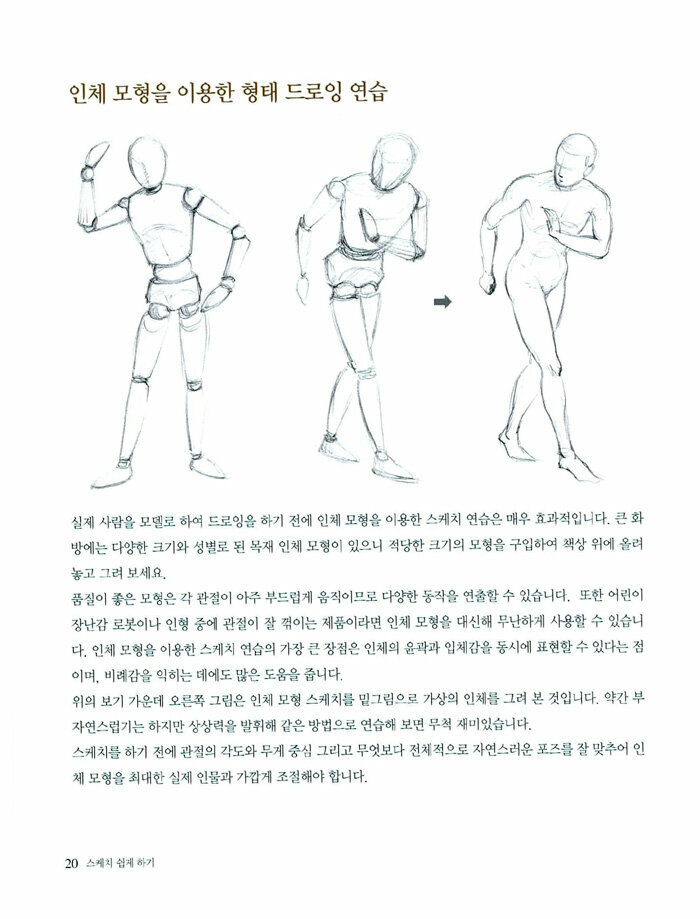 Human Male Body Drawing