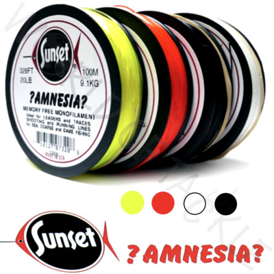 Amnesia Fishing Line Memory Free Monofilament for Fly Sea Carp ALL ...
