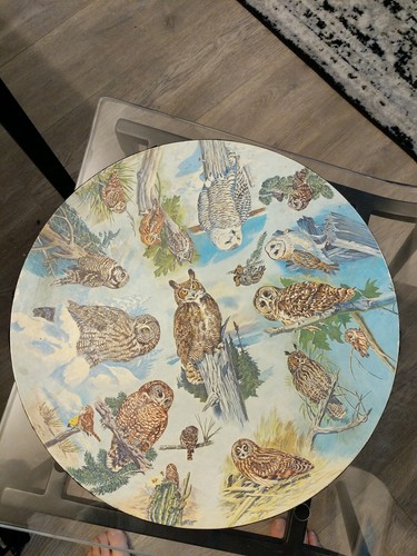 Vtg 1973 Springbok Jigsaw Puzzle Owls Donald Malik 20 3/8" one piece ...