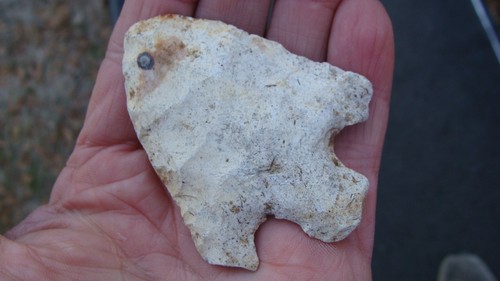 Big thin CLAY Georgia Florida Arrowhead ~132~ | eBay