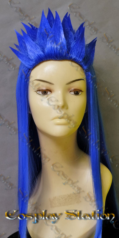 Organization Xiii Saix