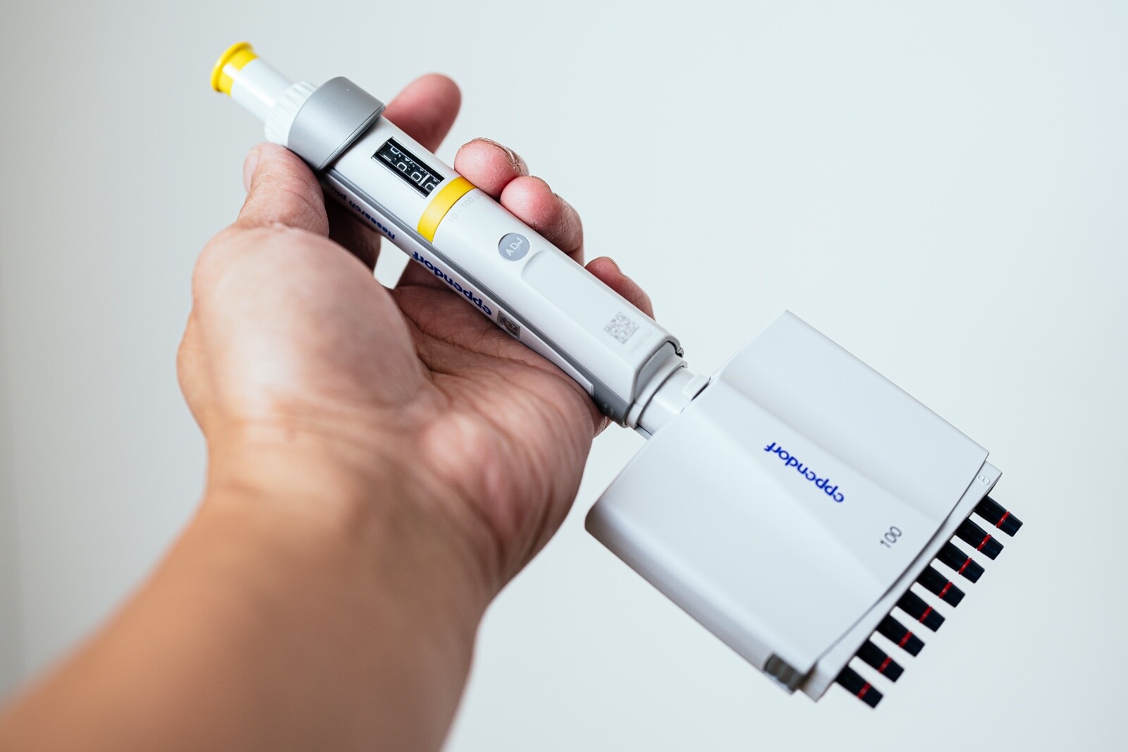 NEW Eppendorf Research Plus 8-Channel Pipette, Yellow, multichannel; 10 ...