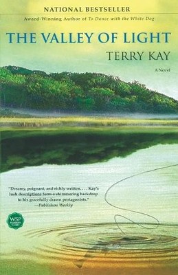 Terry Kay The Valley of Light (Tascabile) | eBay