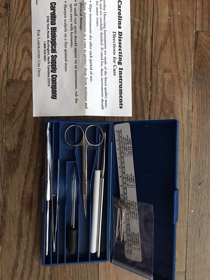 Verizon Wireless Home Phone Kit | eBay