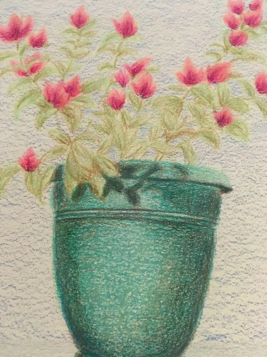 Flower Pot Drawing With Color | Best Flower Site