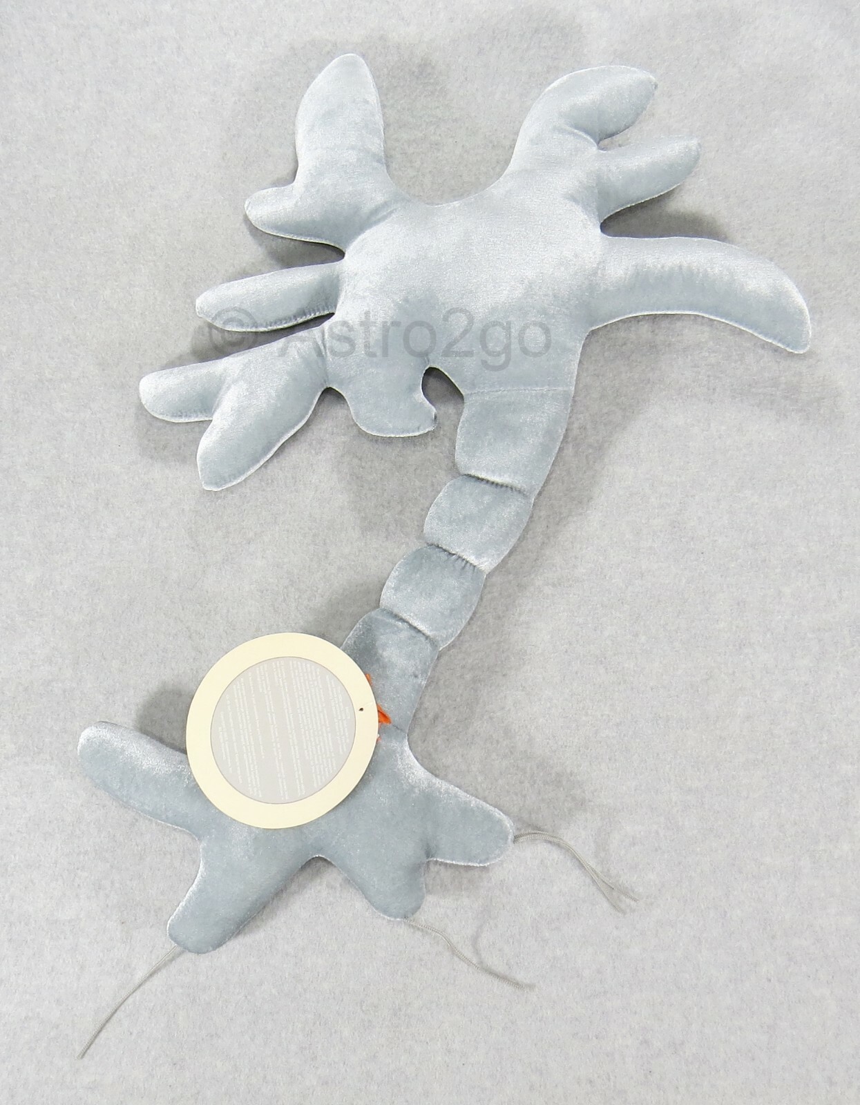 GIANT MICROBES-GIGANTIC BRAIN CELL-Stuffed Plush Neuron Synapse Biology ...