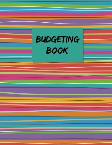 BUDGETING BOOKS: BUDGET PLANNER, FINANCIAL PLANING (LARGE By Ms ...