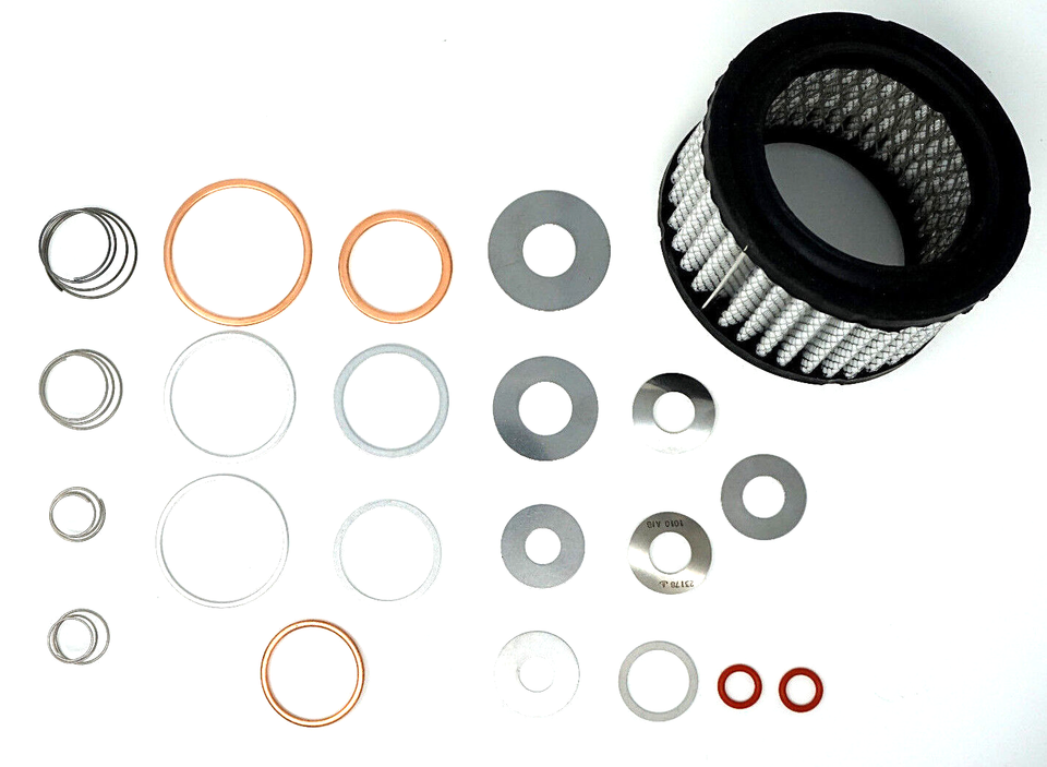 CHAMPION VALVE REPAIR KIT AIR COMPRESSOR PARTS FOR Z102 VALVES R15A ...