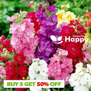 Happy Green Shop | eBay Stores