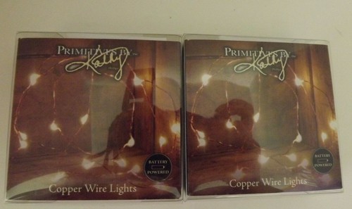 Primitives by Kathy Copper Wire 20 Lights String 3'10" L Battery ...