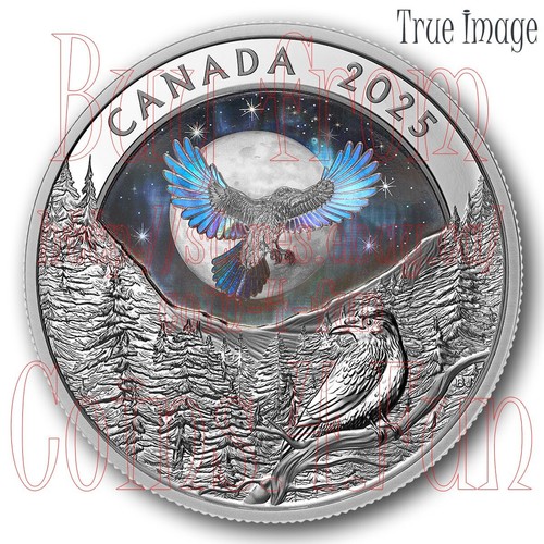 2025 - Moon Sky - Raven - $20 Proof Pure Silver Holographic Coin ...