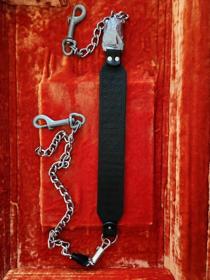 1978 Van Halen EVH Eruption Guitar Chain Strap | eBay