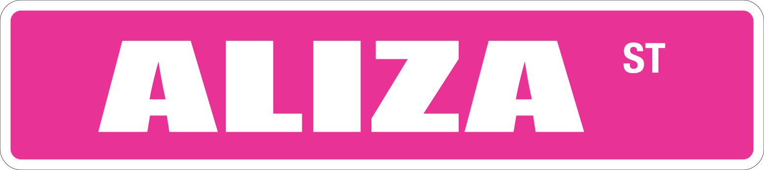 *Aluminum* Aliza 4" x 18" Metal Novelty Street Sign SS 240 | eBay