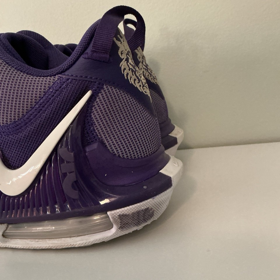 Nike LeBron Witness 7 TB Court Purple Men's 9.5 DZ3299 Basketball ...