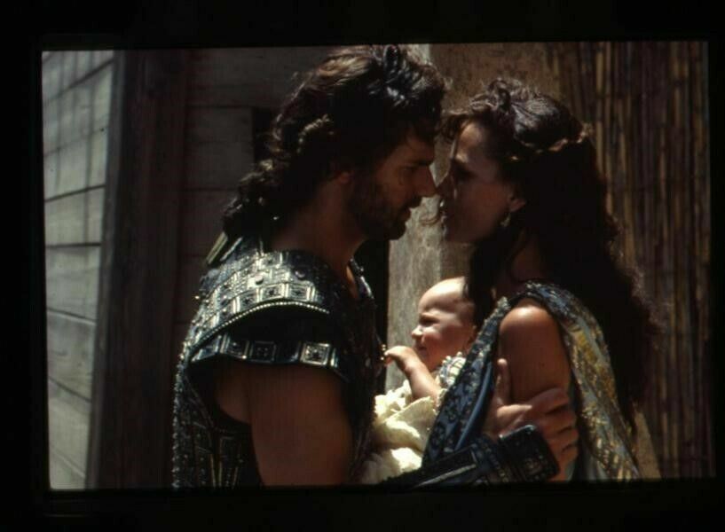 Saffron Burrows Troy